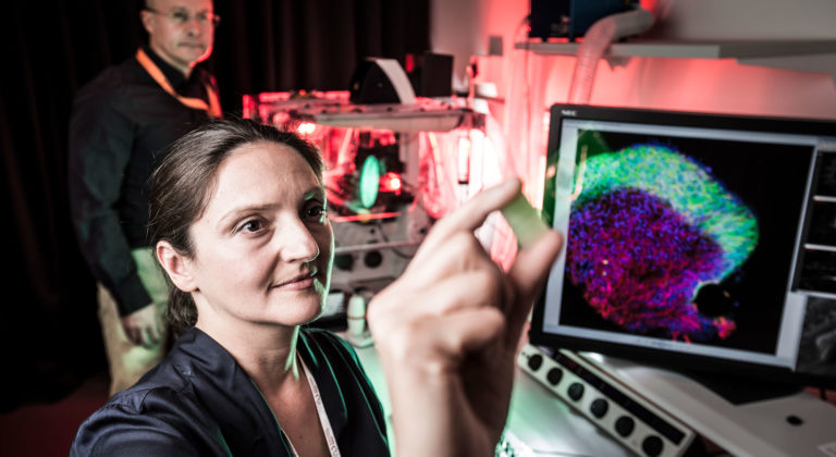 ARC Centre of Excellence for Electromaterial Science | Prof Jeremy ...