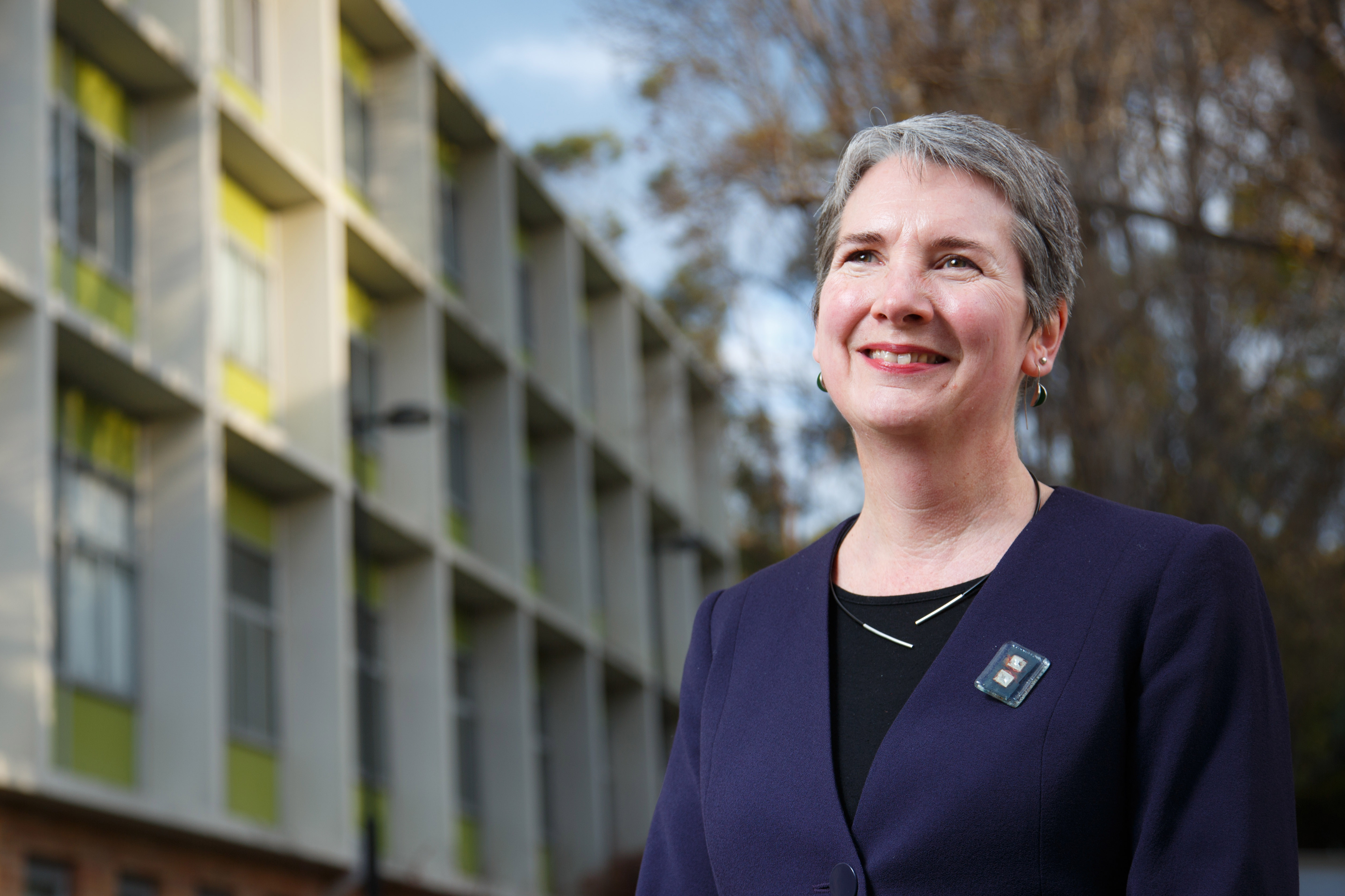 ARC Centre of Excellence for Electromaterial Science | UNSW to host ...