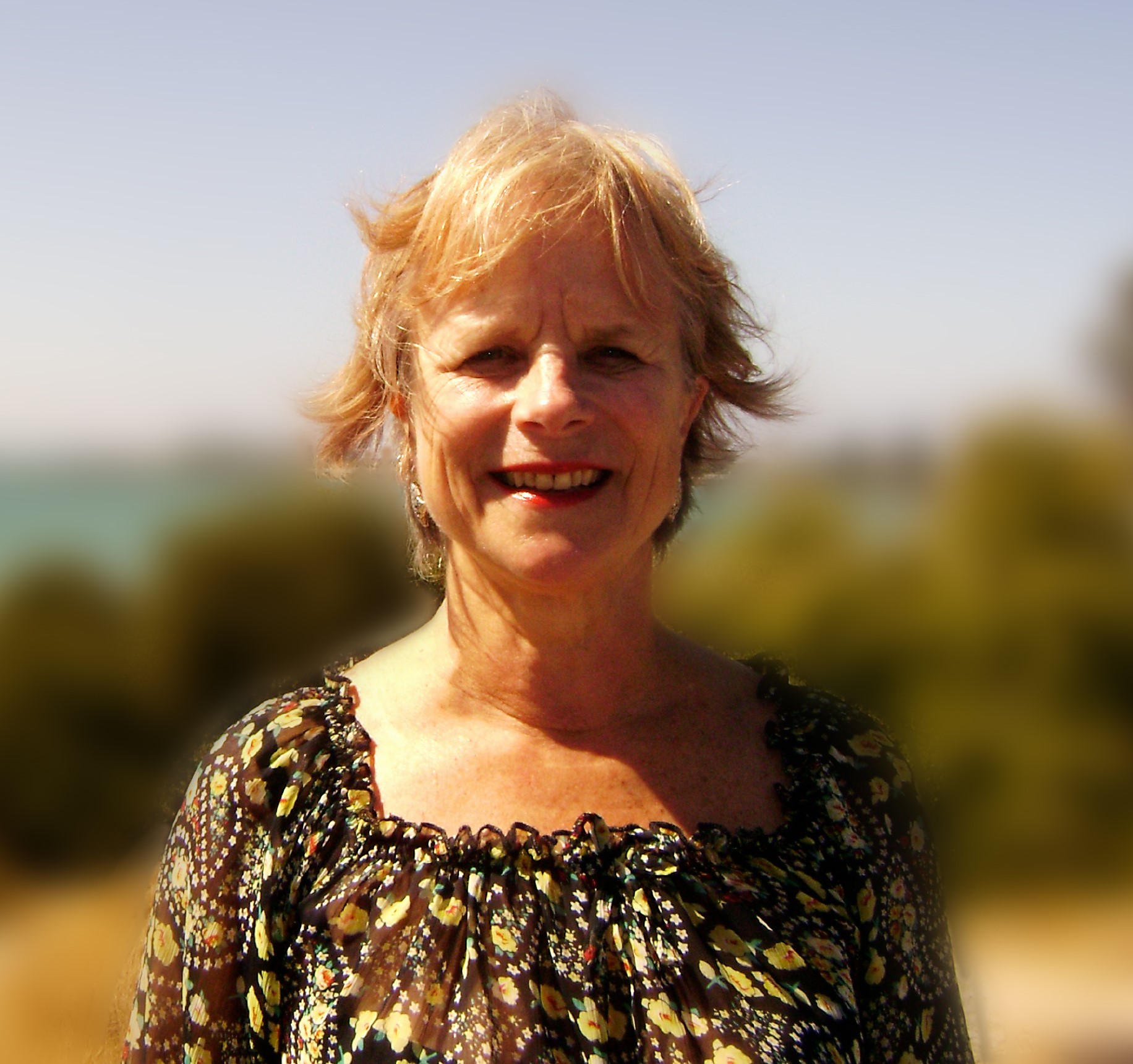 ARC Centre of Excellence for Electromaterial Science | Professor Linda ...